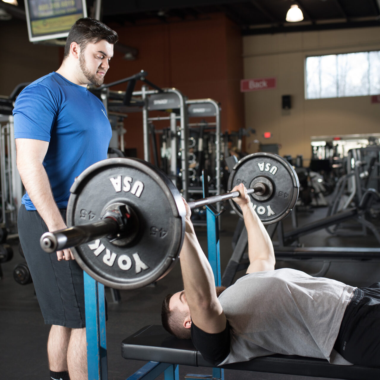 All Sport Health & Fitness | Full-Service Fitness Facility in Fishkill ...