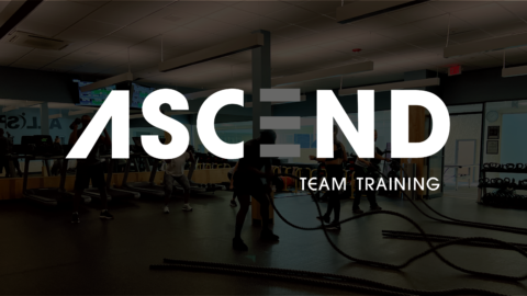 All Sport Health & Fitness | Full-Service Fitness Facility in Fishkill ...